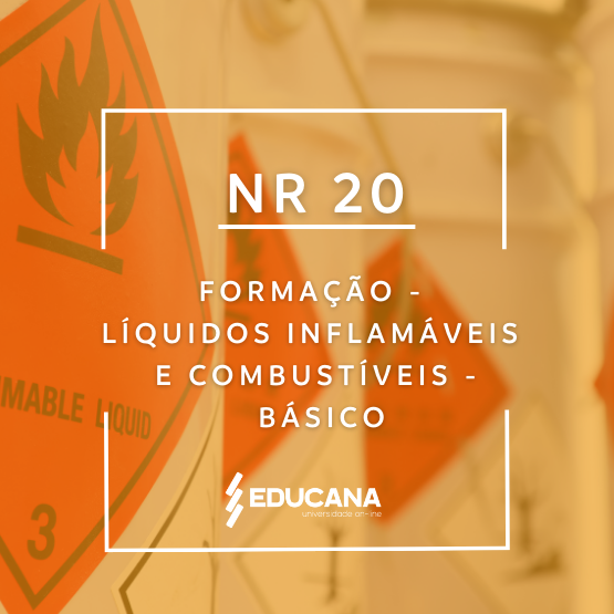 Formação - NR 20 - Basico - Segurança e Saúde no Trabalho Com ...